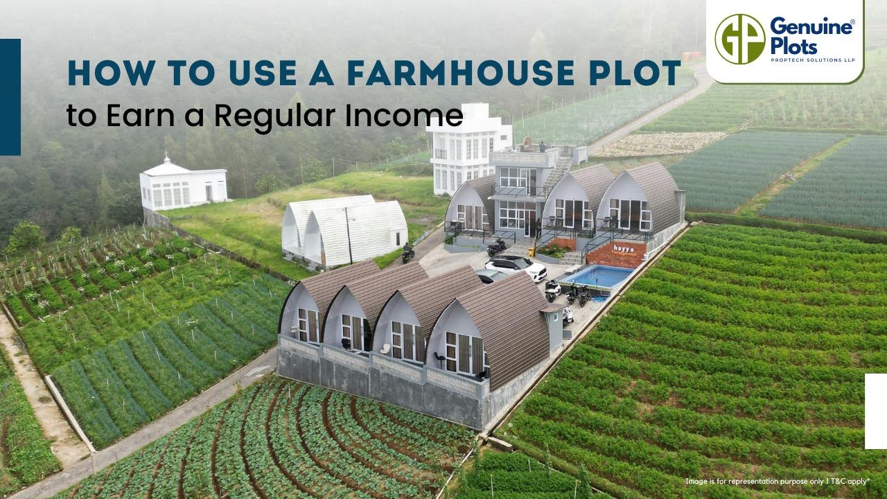 How to Use a Farmhouse Plot to Earn a Regular Income