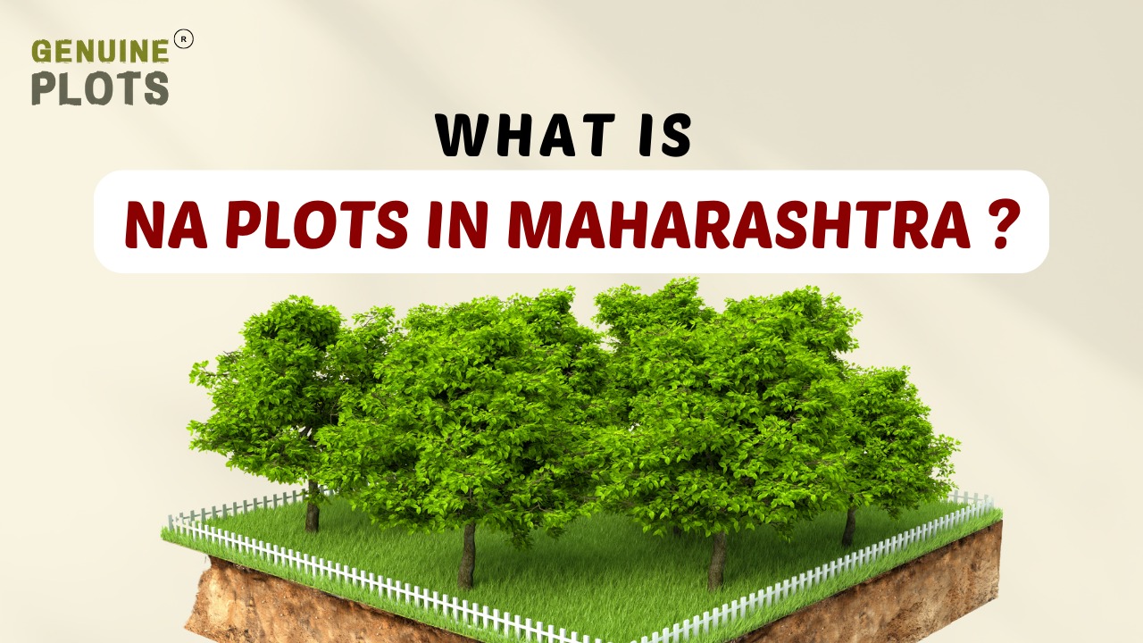 What are NA Plots in Maharashtra